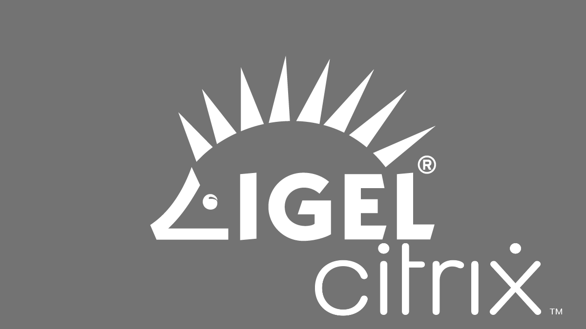 Citrix HDX Webcam redirection for 64-bit applications. HowTo guide ...