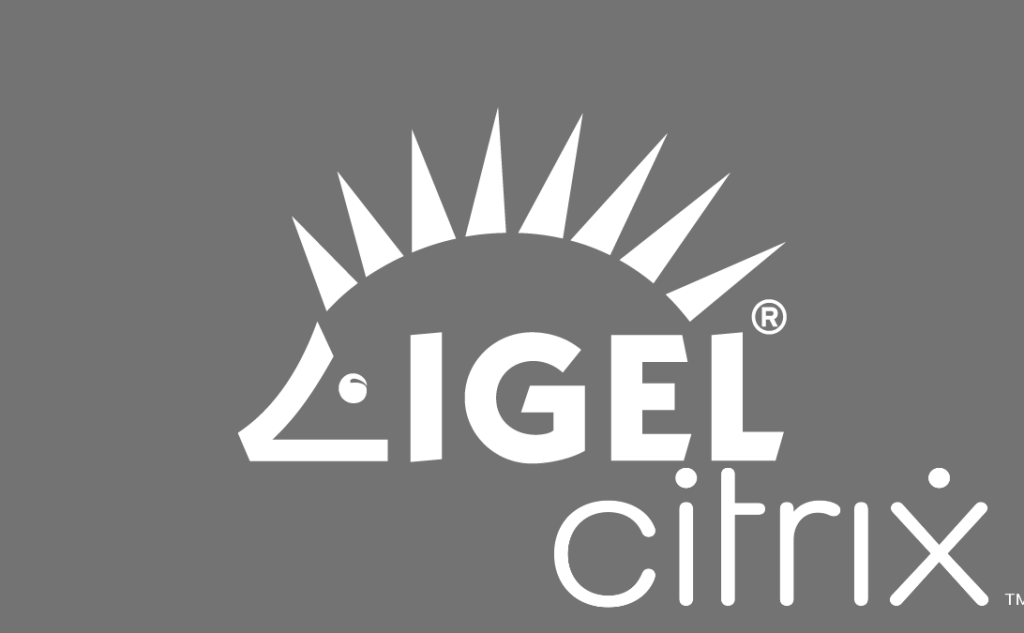 Citrix HDX Webcam redirection for 64-bit applications. HowTo guide ...