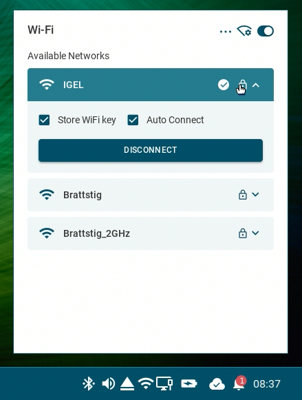 Sometimes the small things make a difference – IGEL OS 12 user ...
